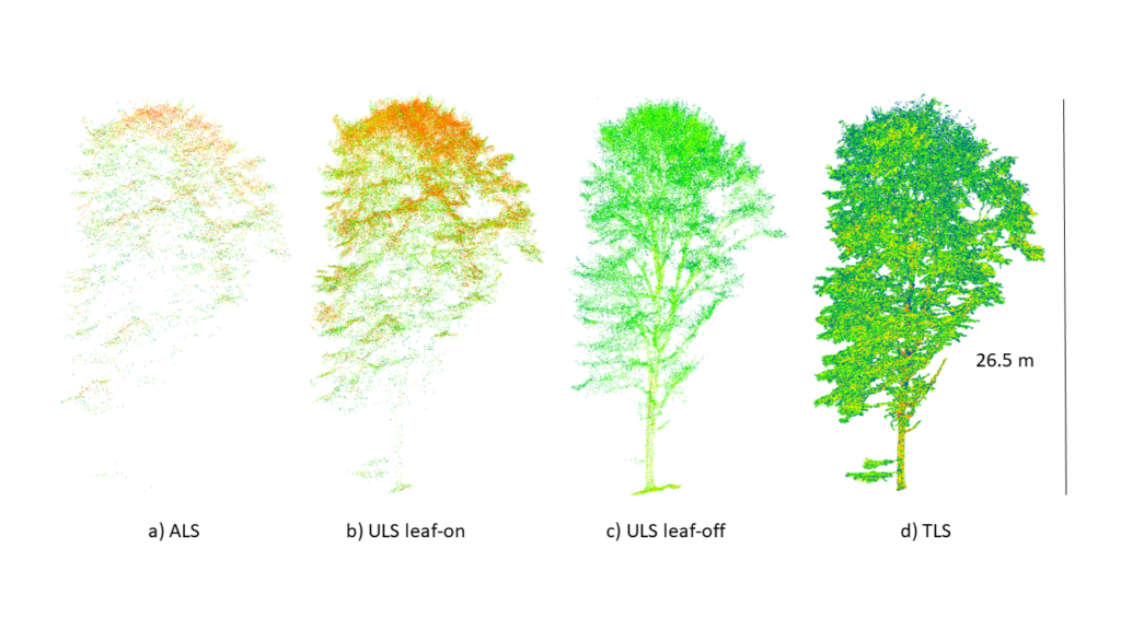 Open Laser Scanning Data Of Trees Syssifoss Project Giscience Blog